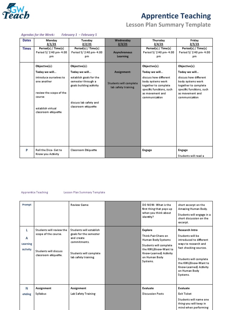 Apprentice Teaching: Lesson Plan Summary Template | PDF | Lesson Plan ...