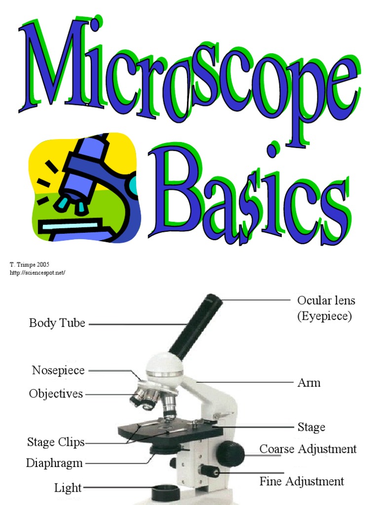 Microscope Basics | PDF | Microscopy | Lenses
