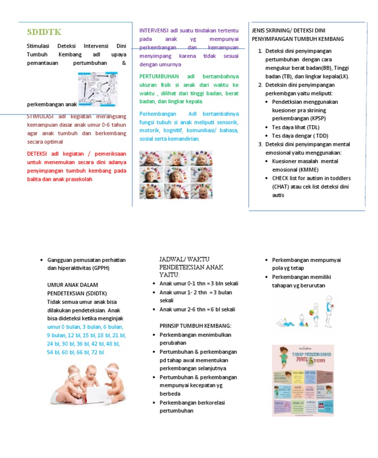 SDIDTK Leaflet | PDF