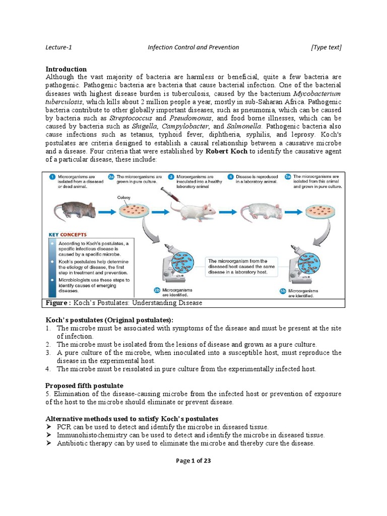 Lecture-1 Infection Control and Prevention (Type Text) | PDF ...