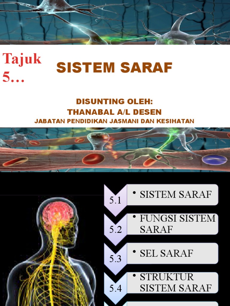 Sistem Saraf | PDF