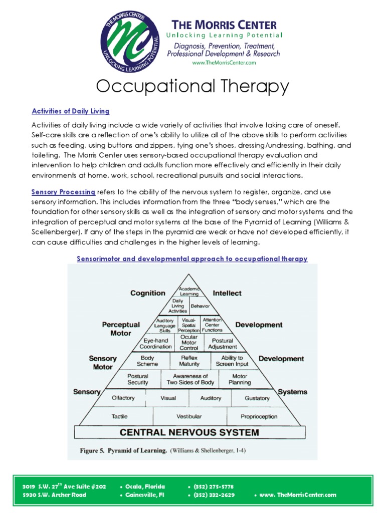 Sensory-Based Occupational Therapy Guide | PDF | Somatosensory System ...