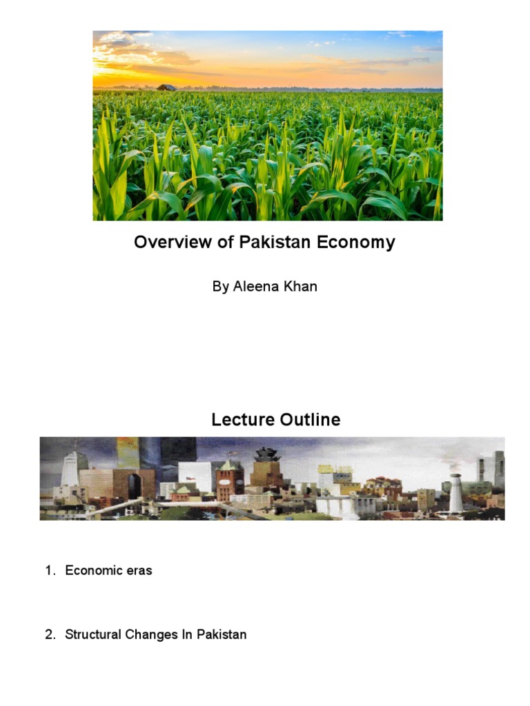 Overview of Pakistan Economy: by Aleena Khan | PDF | Structural ...