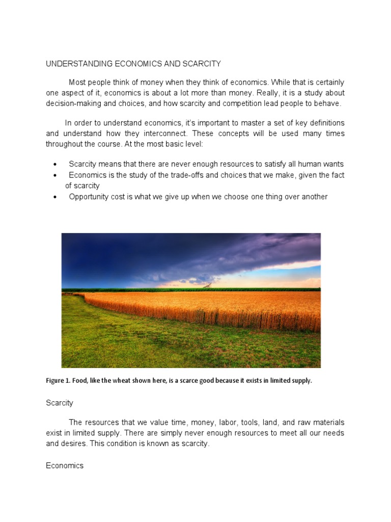 Understanding Economics and Scarcity | PDF | Resource | Economics