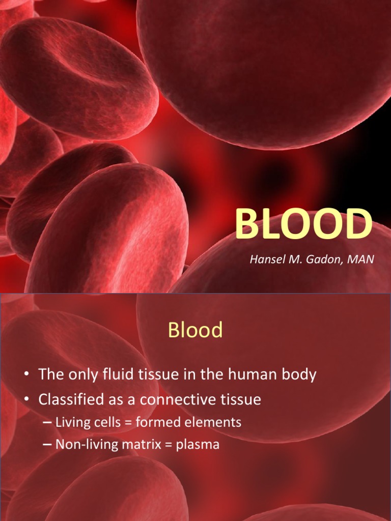 The Comprehensive Guide to Understanding Blood: Its Composition ...