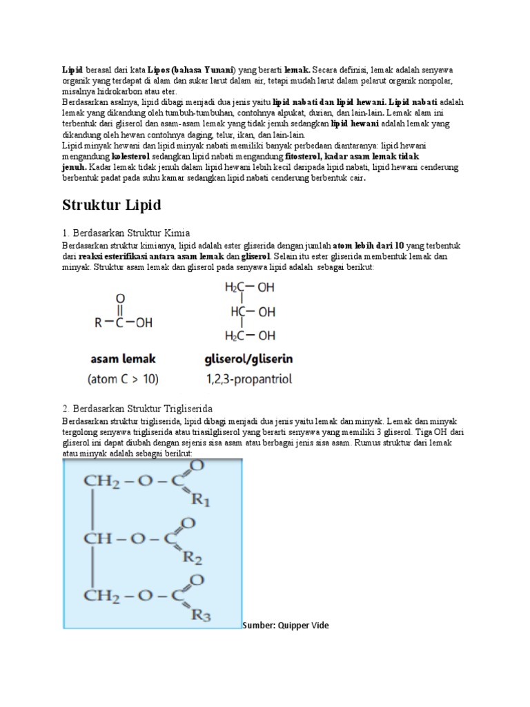 Lipid: Jenis, Struktur, dan Fungsinya | PDF | Kesehatan Holistik