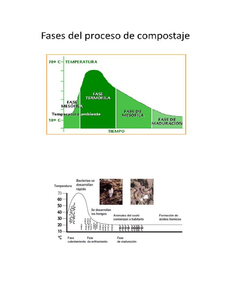 Fases Del Proceso de Compostaje | PDF