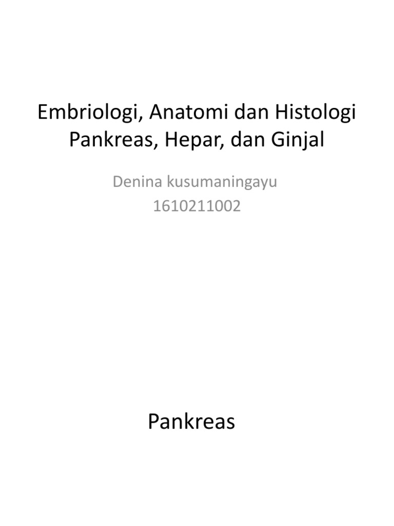 Embriologi, Anatomi Dan Histologi Pankreas, Hepar, Dan Ginjal | PDF | Pancreas | Adrenal Gland