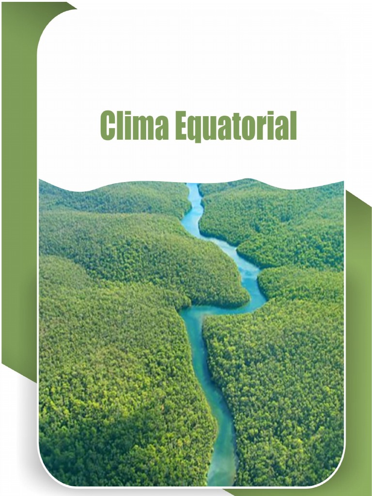 Clima Equatorial - 6 Ano | Download grátis PDF | Árvores | Florestas