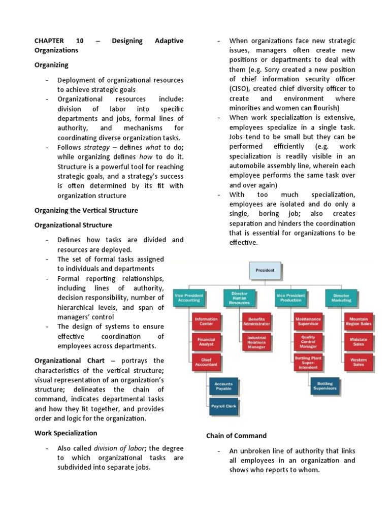CHAPTER 10 Management | PDF | Organizational Structure | Hierarchy