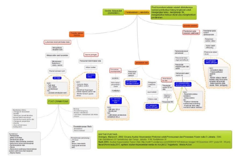 WOC Craniotomy | PDF