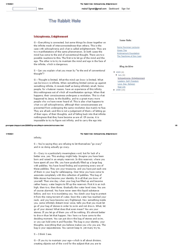 The Rabbit Hole - Schizophrenia, Enlightenment | PDF | Enlightenment In ...