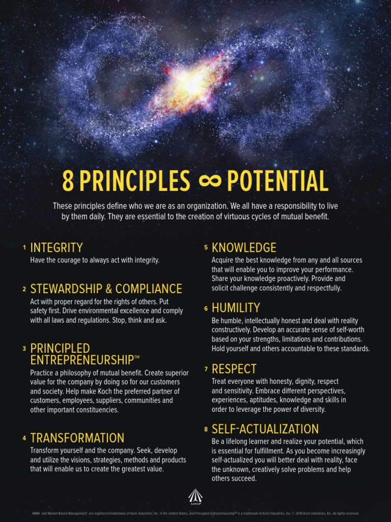 Koch MBM Guiding Principles | PDF | Integrity | Knowledge