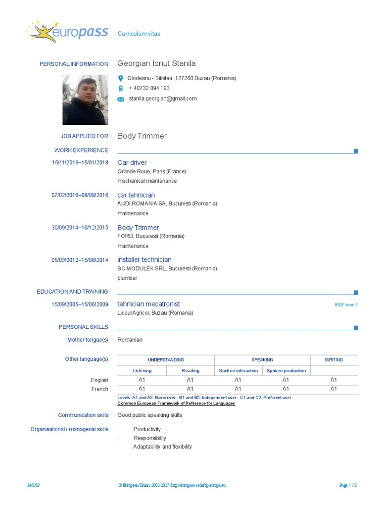 Georgian Ionut Stanila: Car Driver | PDF | Human Communication ...