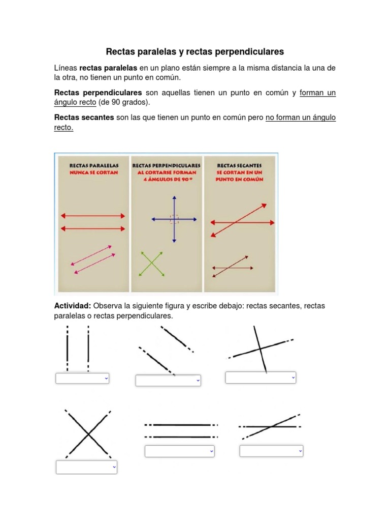 Rectas y Angulos | PDF