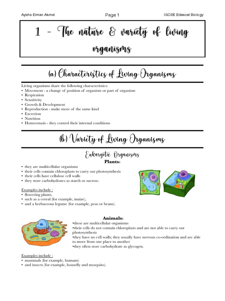 Characteristics and Variety of Organisms | PDF | Cell (Biology) | Bacteria
