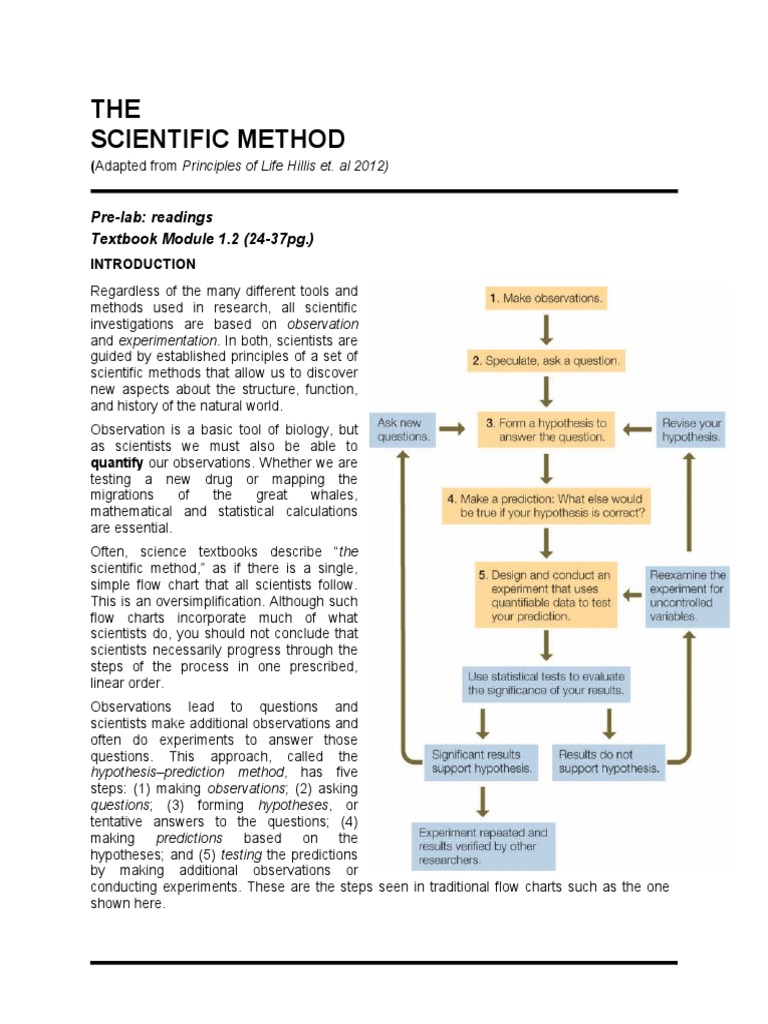 Scientific Method for Students | PDF | Experiment | Hypothesis