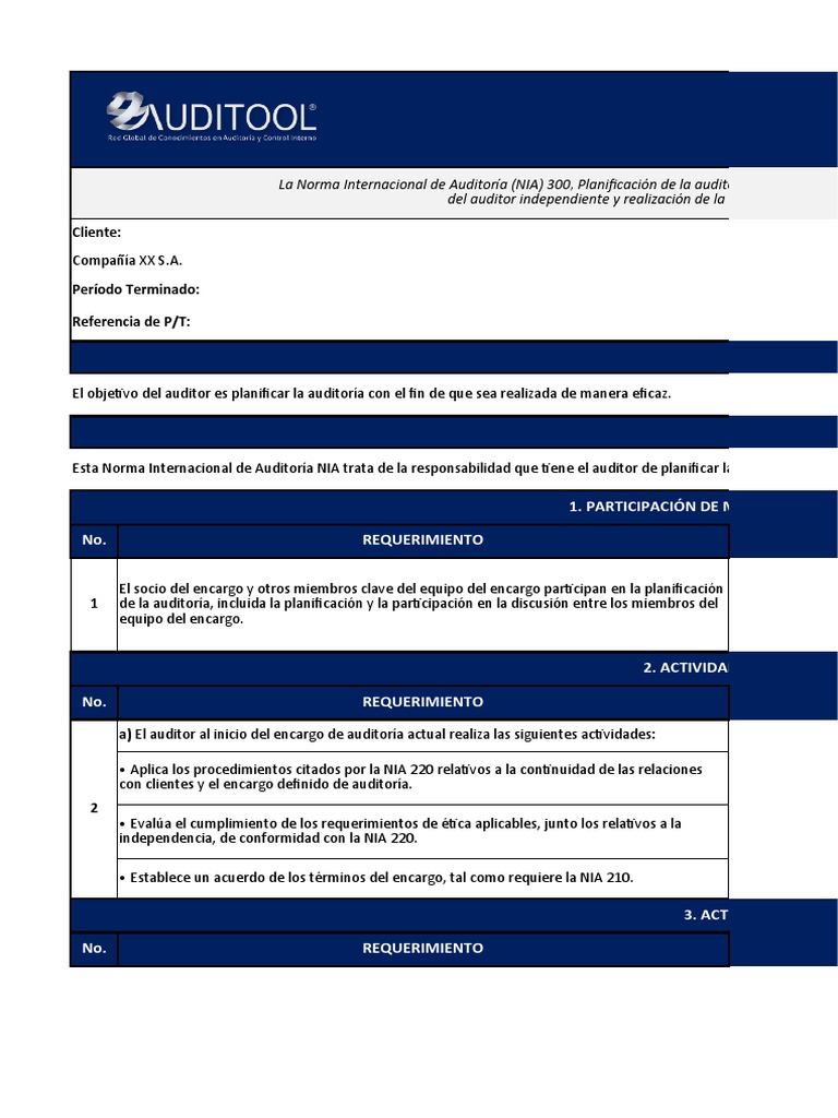 NIA 300 Planificacion de La Auditoria de Estados Financieros | PDF ...