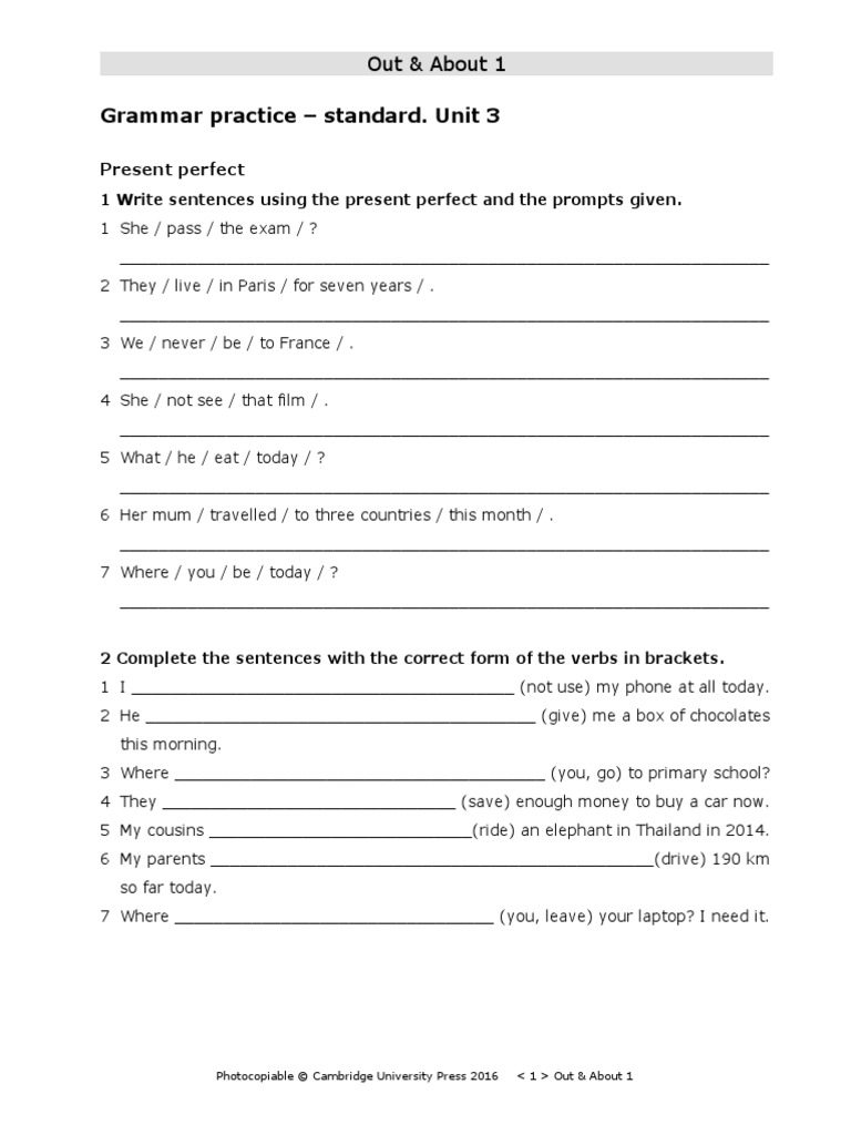 Unit 3 Grammar Practice-Standard