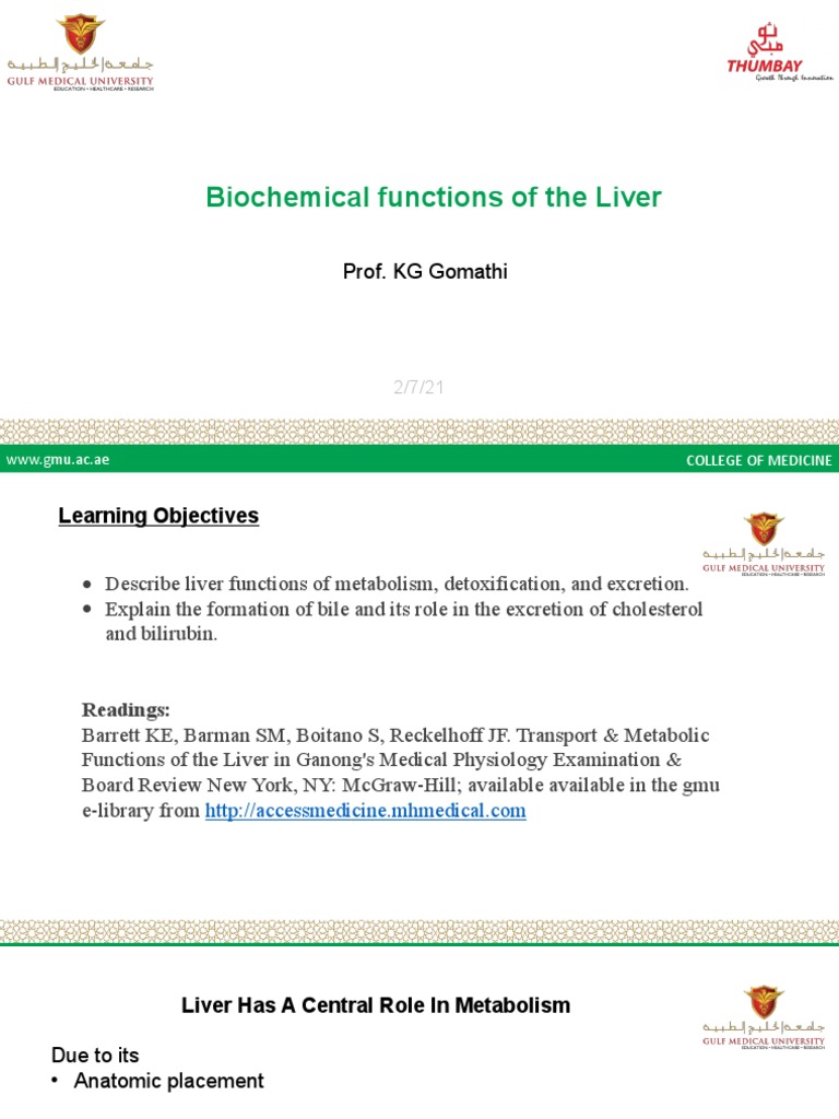 Biochemical Functions of The Liver | PDF | Liver | Cytochrome P450