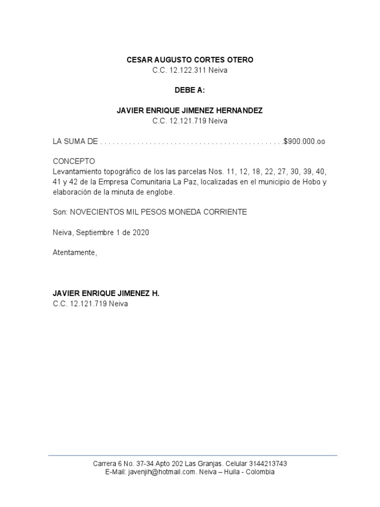 Cesar Augusto Cortes Otero | PDF