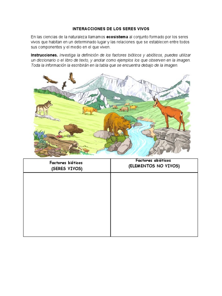 Interacciones de Los Seres Vivos | PDF