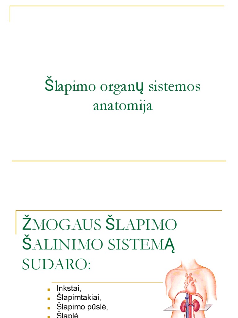 Slapimo Anatomija T | PDF
