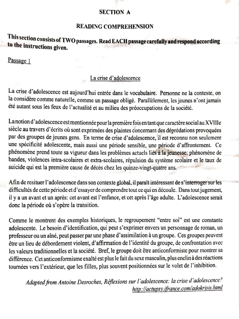 French Unit Test 2 - Cape Past Paper Question | PDF | Adolescence ...