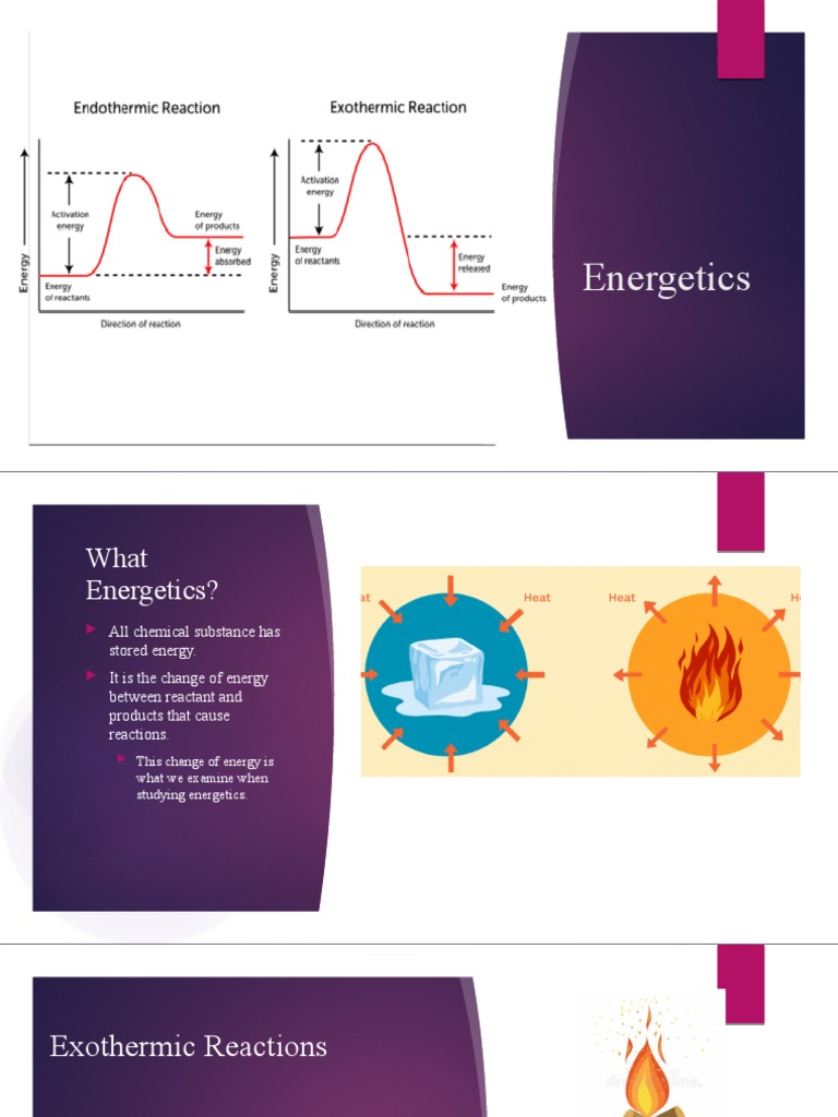 An Introduction to Energetics: Examining the Energy Changes that Occur ...