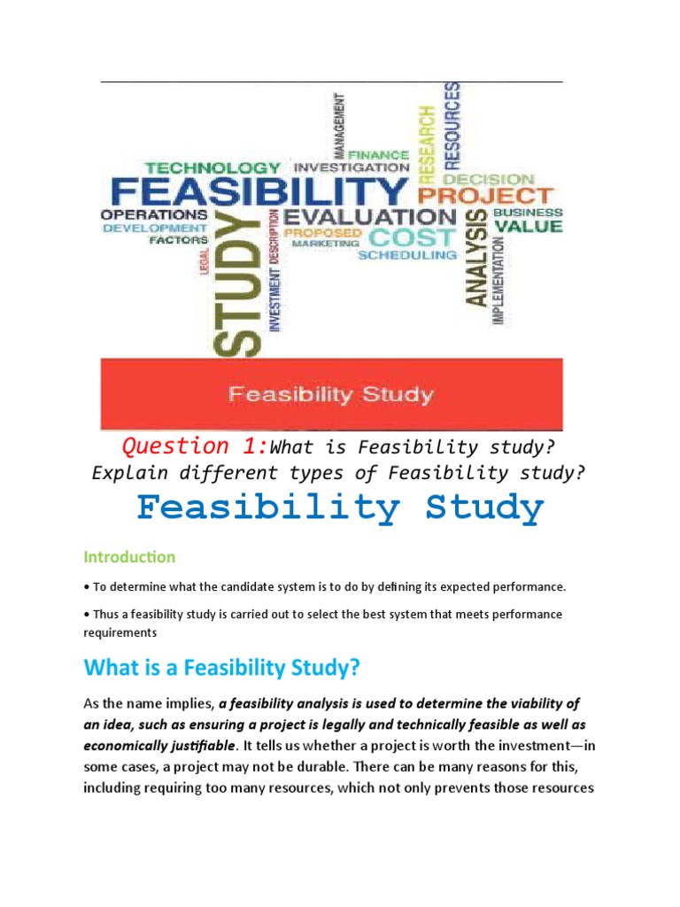 Feasibility Study and SDLC | PDF | Feasibility Study | Economies