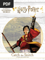 Quidditch Positions and Rules Explained | PDF