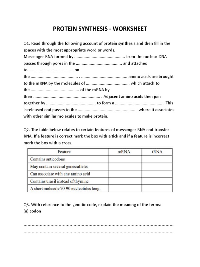 Protein Synthesis Worksheet Guide | PDF | Genetic Code | Dna