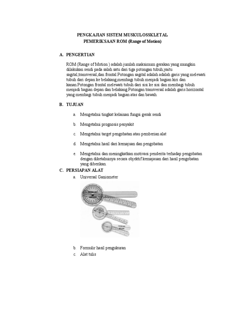 Pemeriksaan Rom | PDF