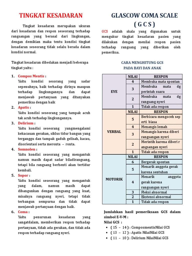 Tingkat Kesadaran | PDF