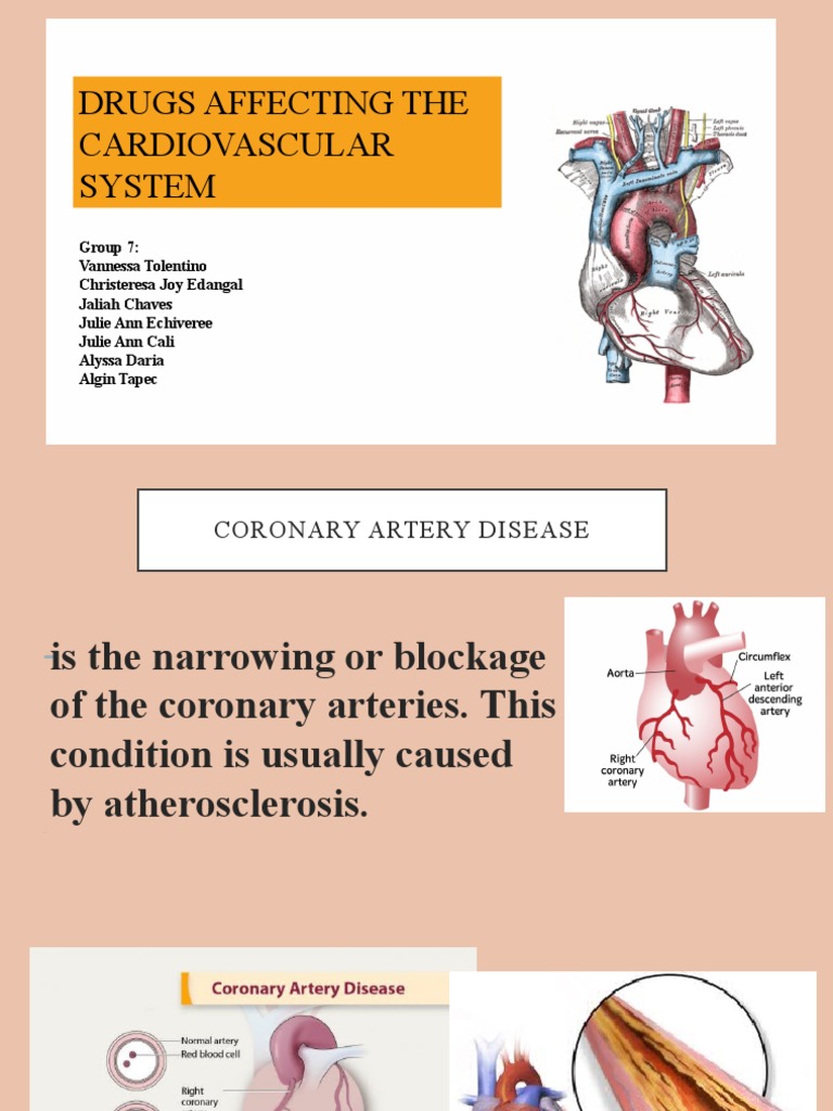 Drugs Affecting The Cardiovascular System: Group 7 | PDF | Coronary ...