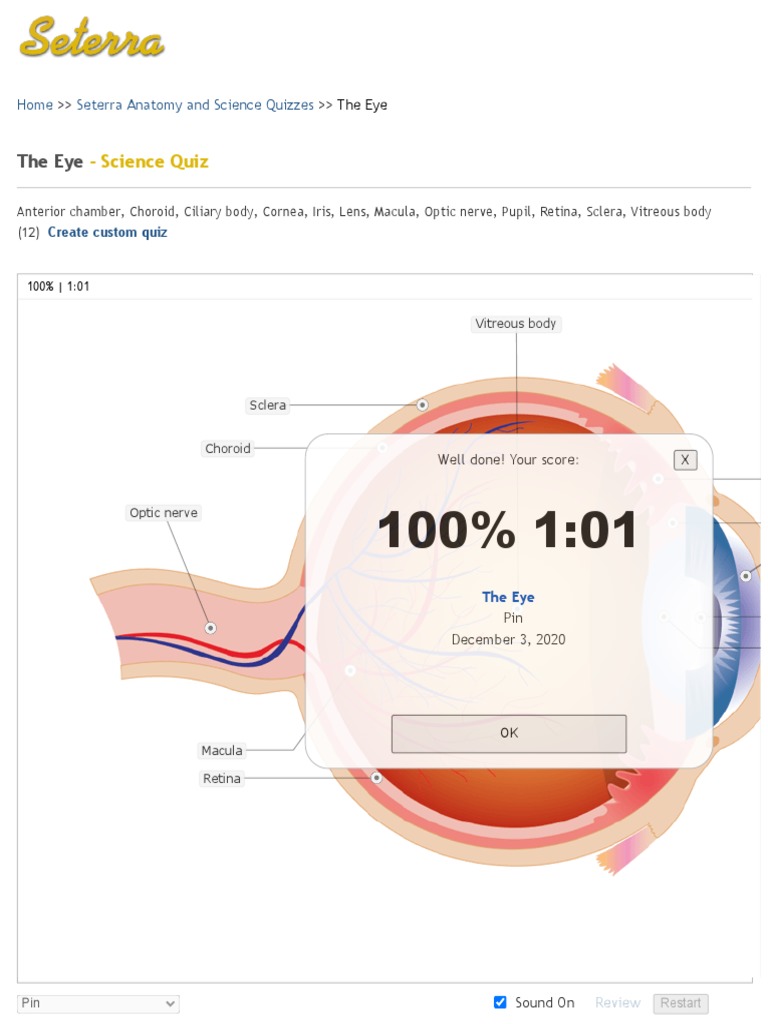 The Eye - Science Quiz | PDF