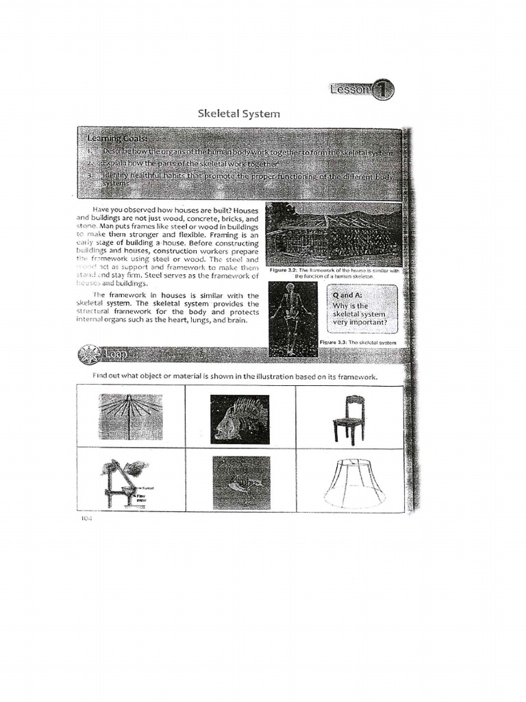 Skeletal System Grade 6 | PDF