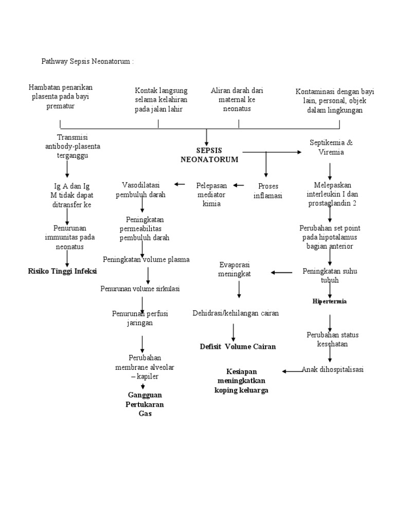 Pathway Sepsis Neonatorum | PDF