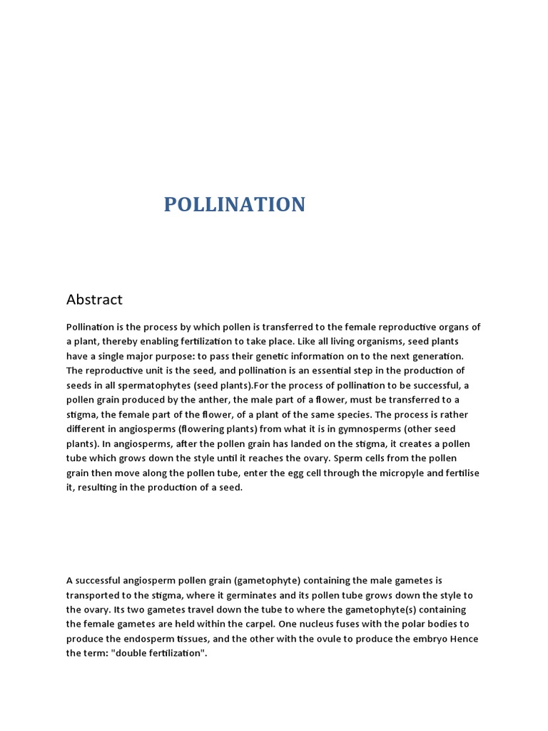 Class 12 Pollination Project Overview | PDF | Pollination | Pollinators