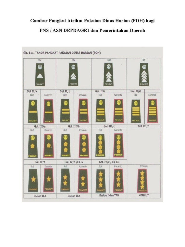 Atribut dan Tanda Pangkat PNS Pemda | PDF