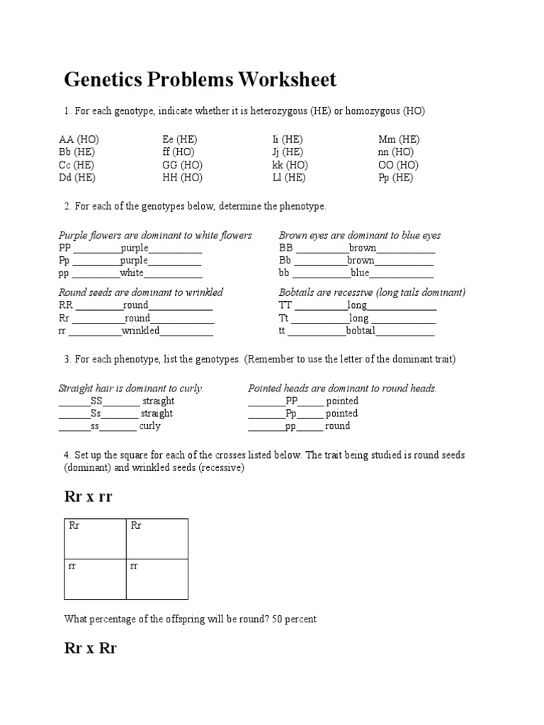 Genetics Problems Worksheet | PDF | Dominance (Genetics) | Zygosity