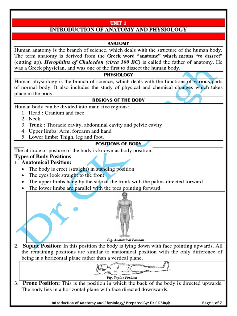 1.introduction of Ana & Phy | PDF | Anatomical Terms Of Location ...