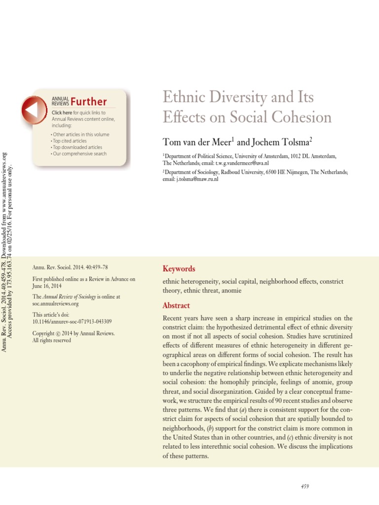 Ethnic Diversity and Its Effects On Social Cohesion | PDF | Social ...