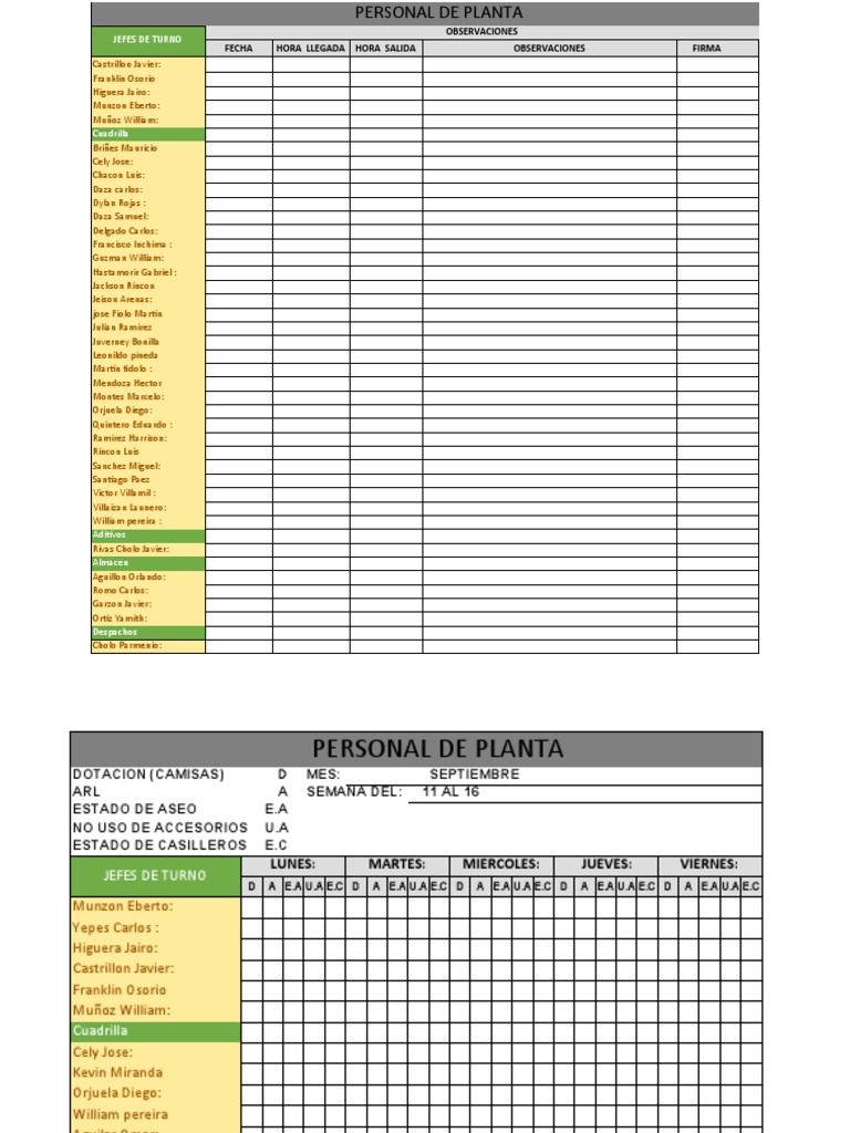 Formato Llegada Tarde | Descargar gratis PDF | Informática y tecnología de la información | Business