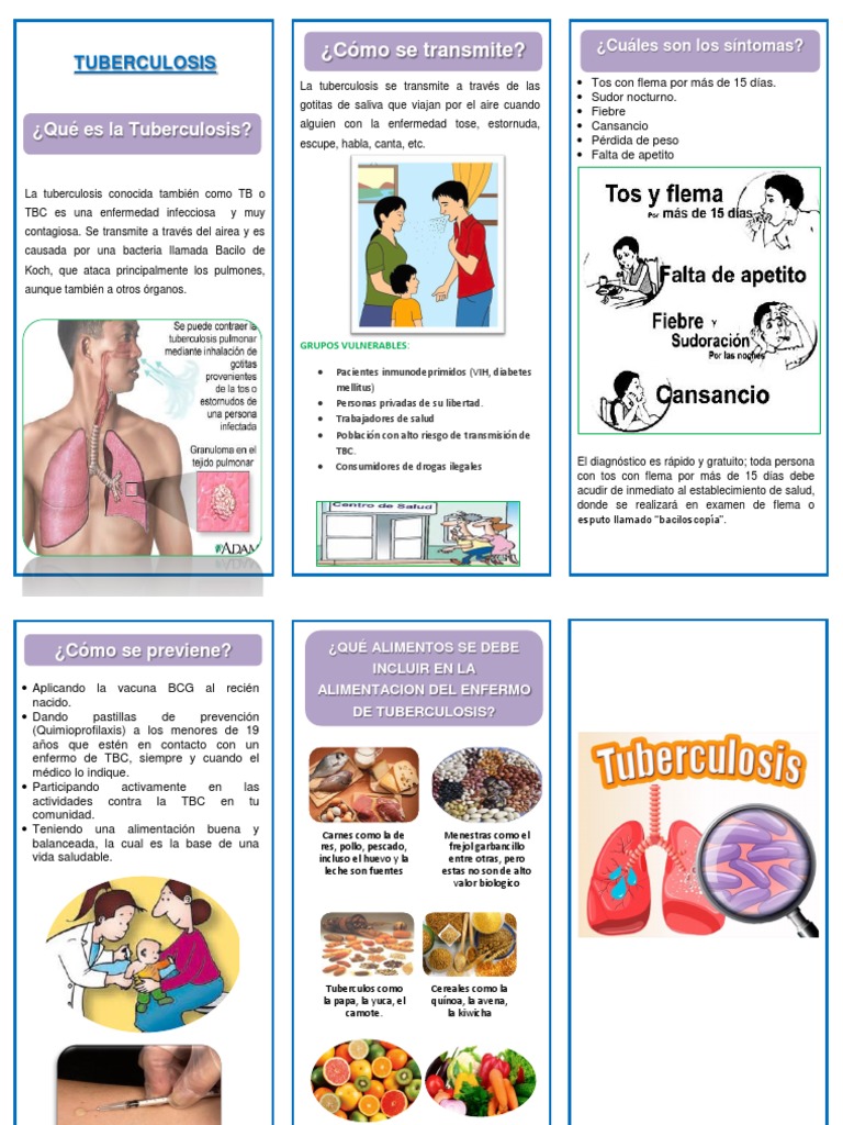 Triptico Tuberculosis | PDF | Tuberculosis | Medicina CLINICA