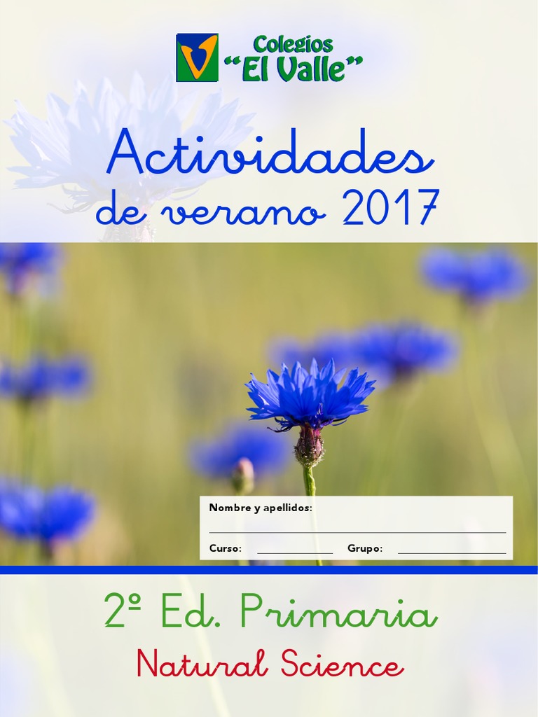 Summer Activities for 2nd Graders | PDF