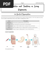 IGCSE Biology Notes On Digestive System | PDF | Digestion | Stomach