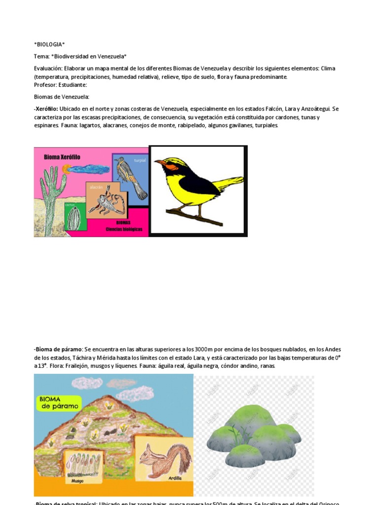 Biomas de Venezuela: Mapa Mental y Descripción | PDF | Venezuela | Andes