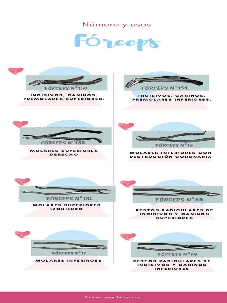 Tipos y Usos de Fórceps Dentales | PDF