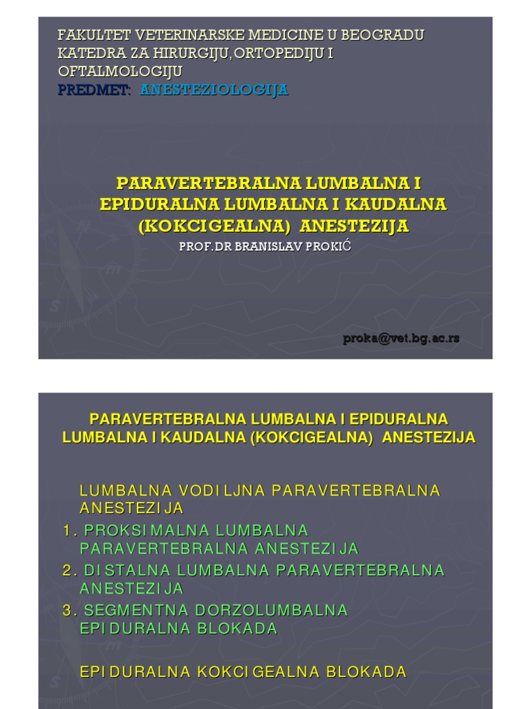 Lumb - Paravert.epid - Spinal Anest | PDF